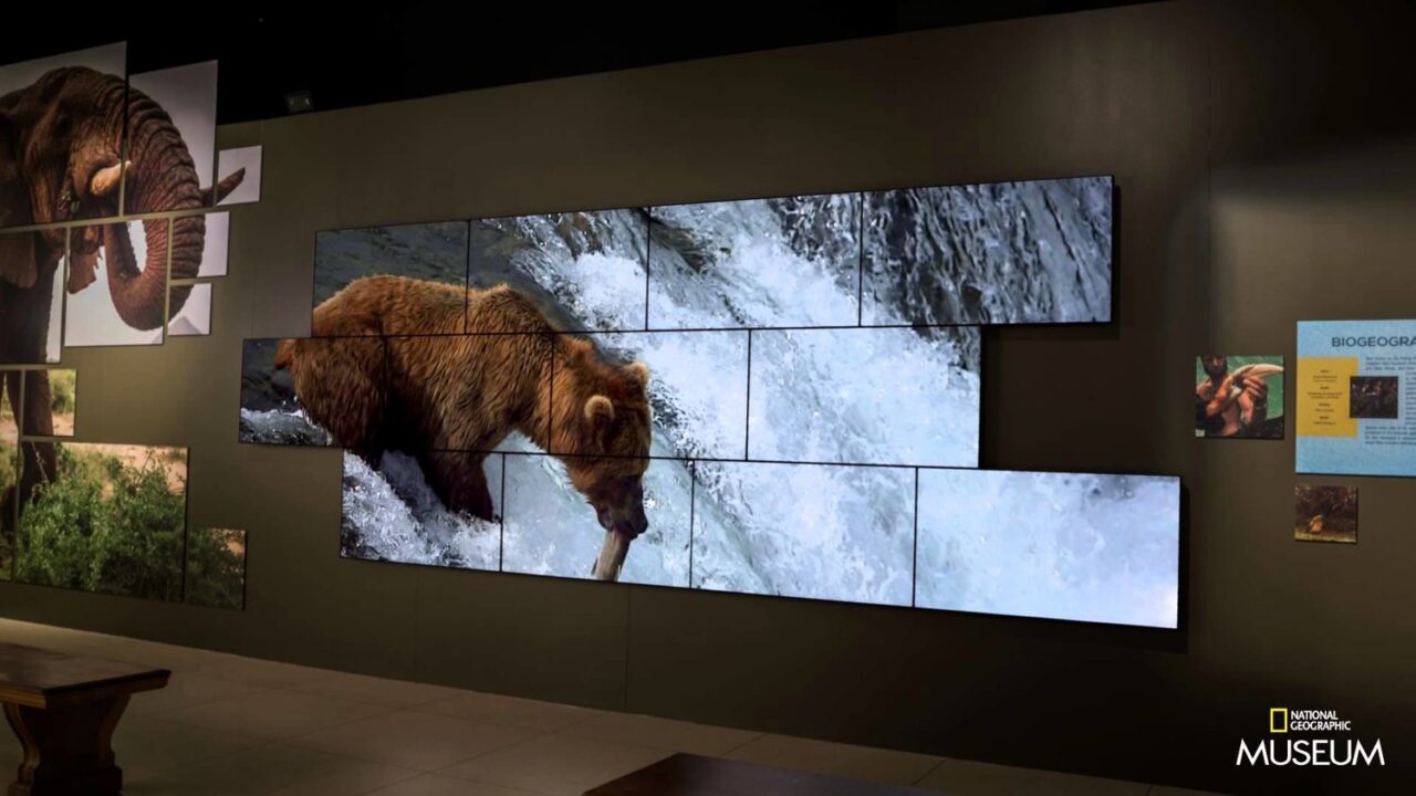 Interactive LED Video Walls: A Glimpse into Tomorrow - Certified ...